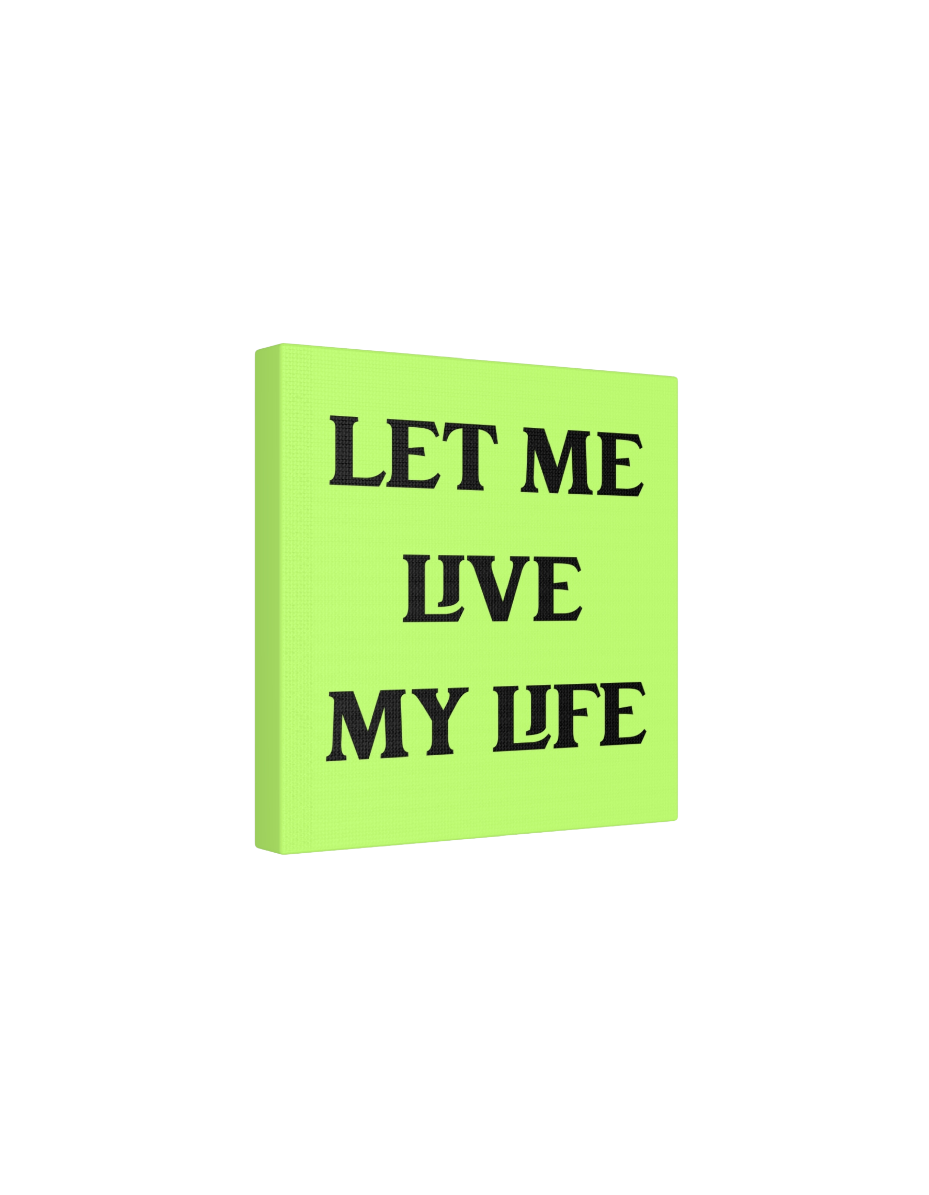 Live my life – Haus Fly